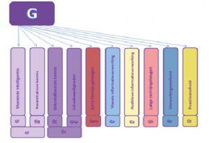 Fluïde redeneren? Eh…wat? - Praktijk voor schoolpsychologie
